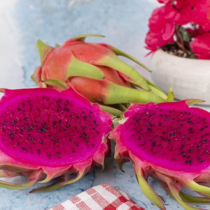 1 Adet Kırmızı Ejder Meyvesi | Avokadocu Ayşe