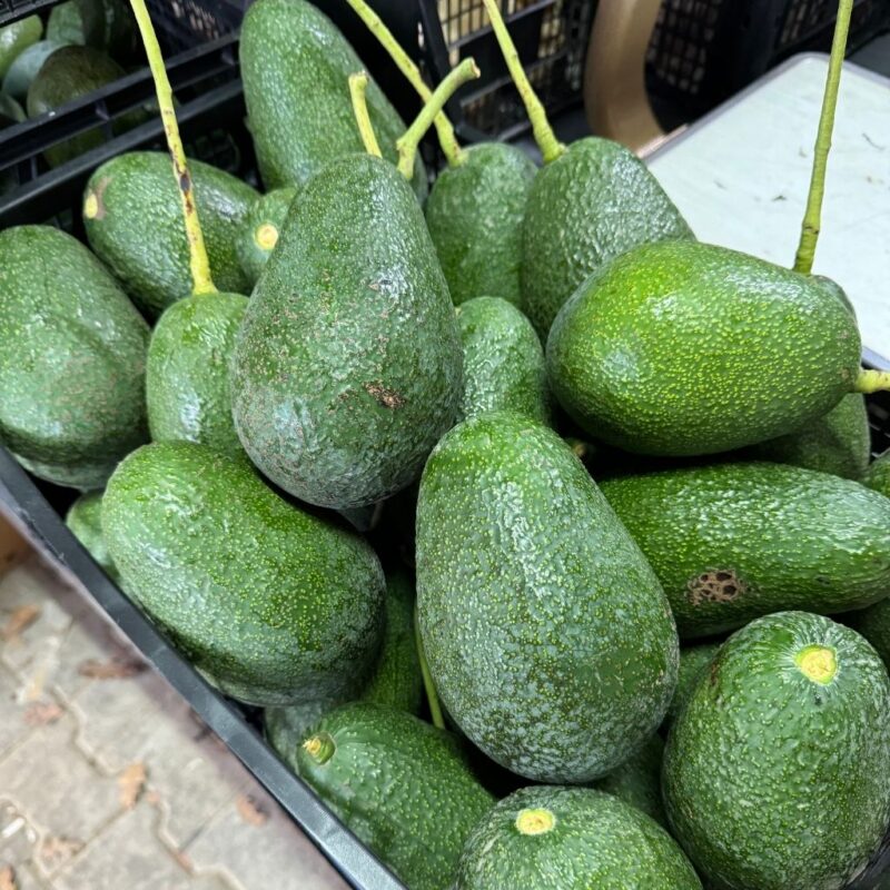 Anaheim Avokado 1 Adet 350 gram üzeri | Avokadocu Ayşe