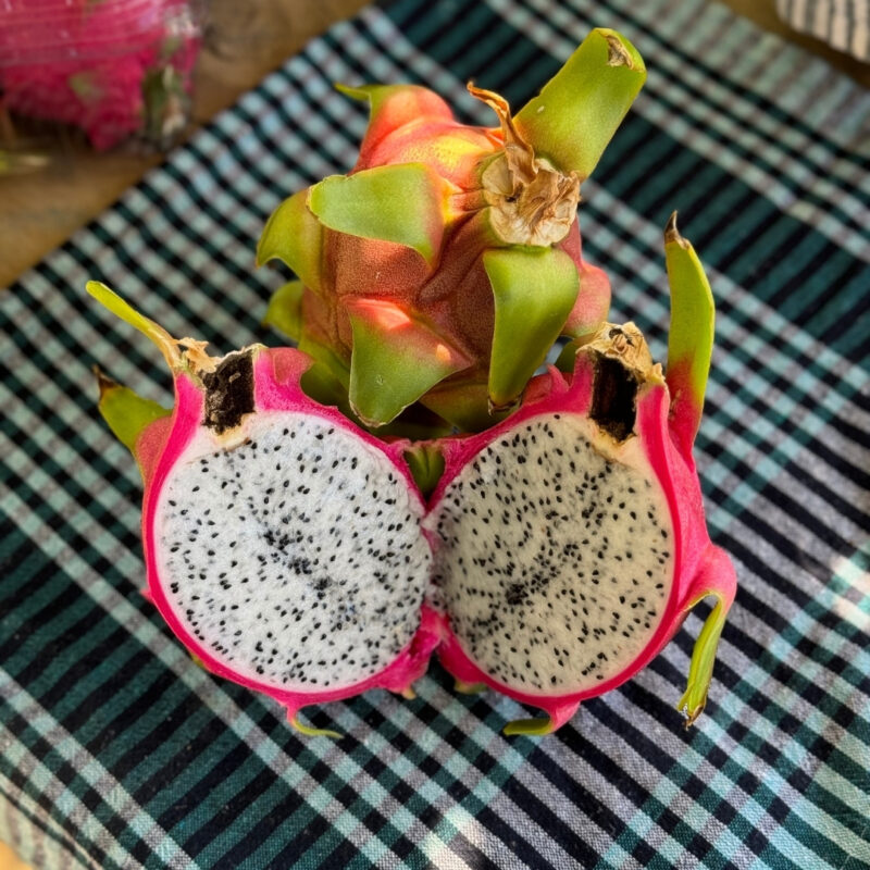 Beyaz Ejder (Pitaya) Meyvesi | Avokadocu Ayşe