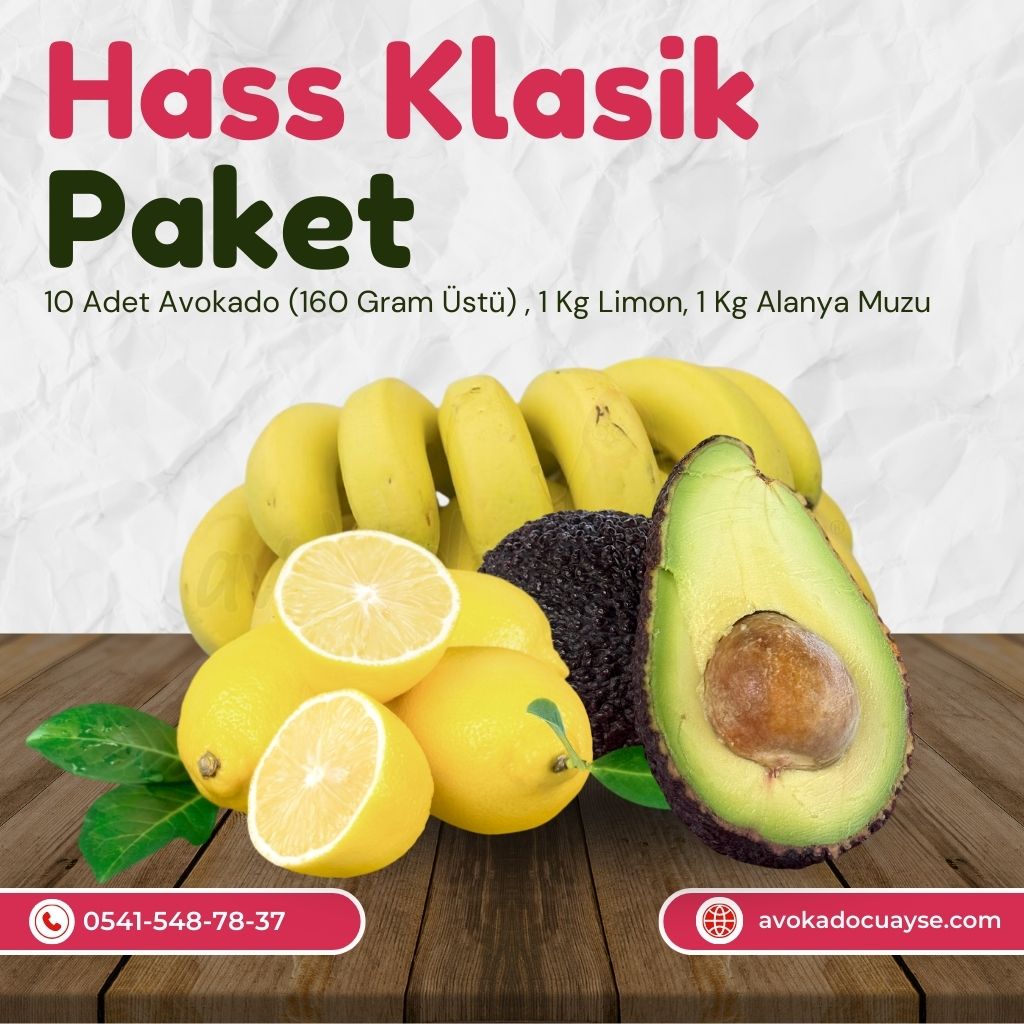 Hass Klasik Paket | Avokadocu Ayşe